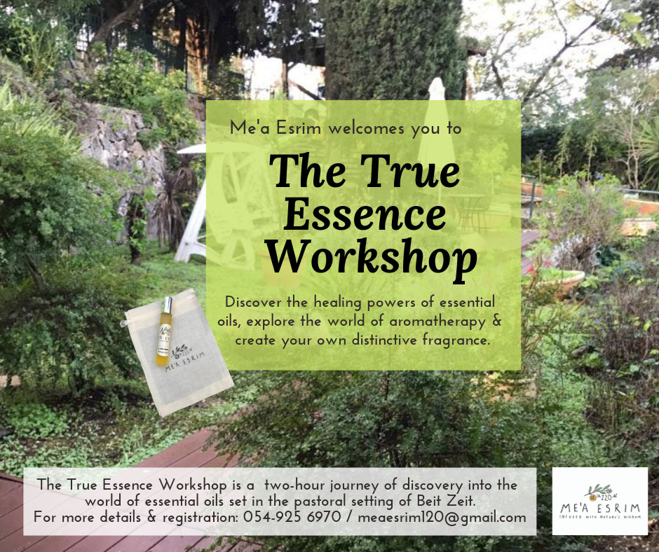 Workshop – Mea Esrim